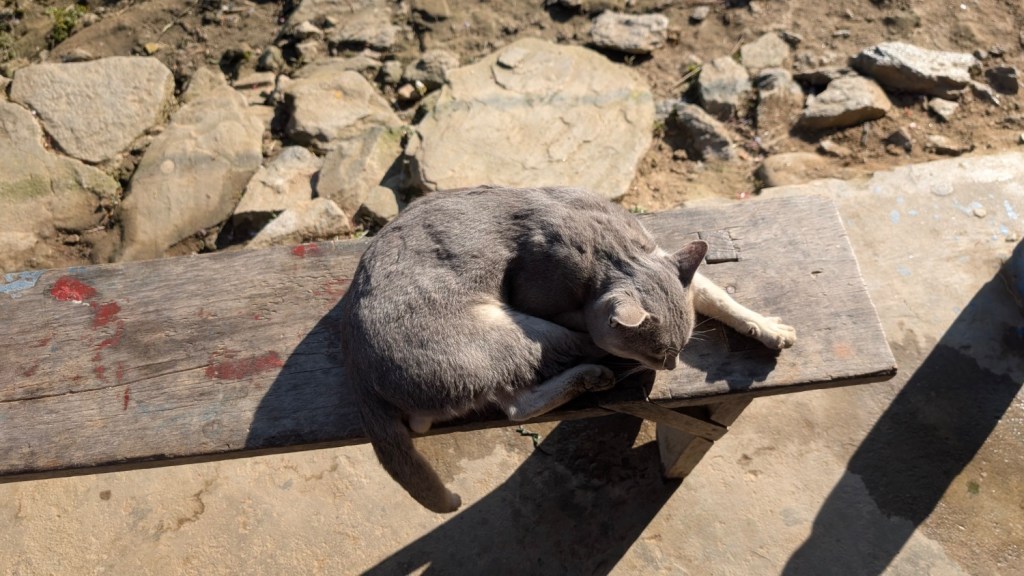 We, The Parents – A short poem film – the doodling poet